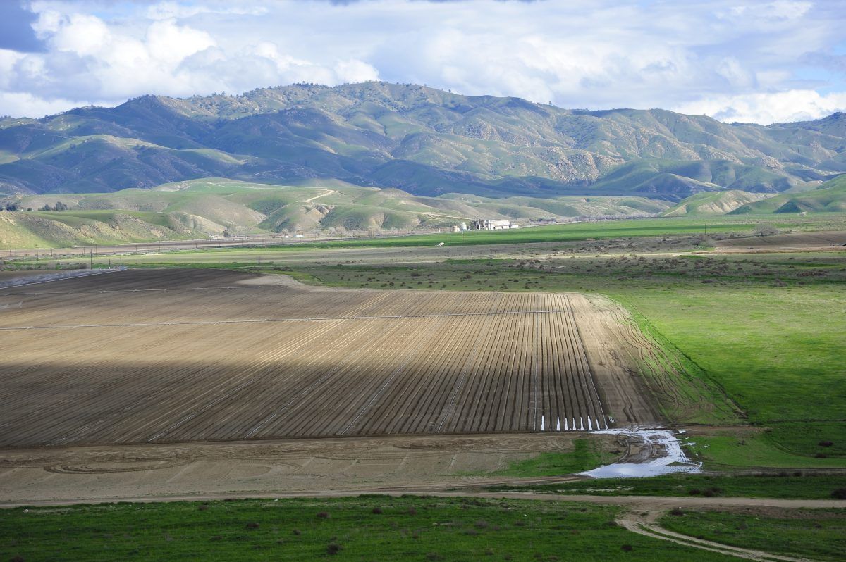 California Department of Food and Agriculture Announces Multiple ...