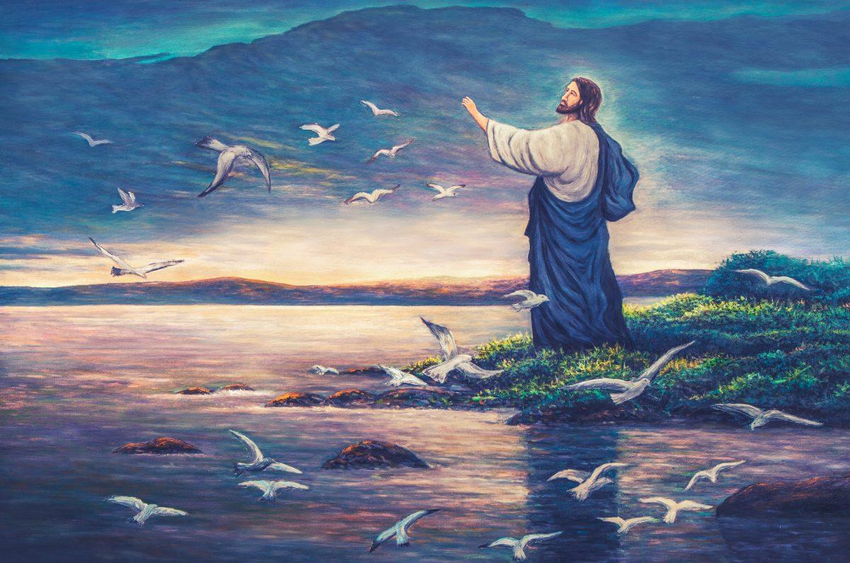 Impact of the Personhood of Christ - Valley Ag Voice