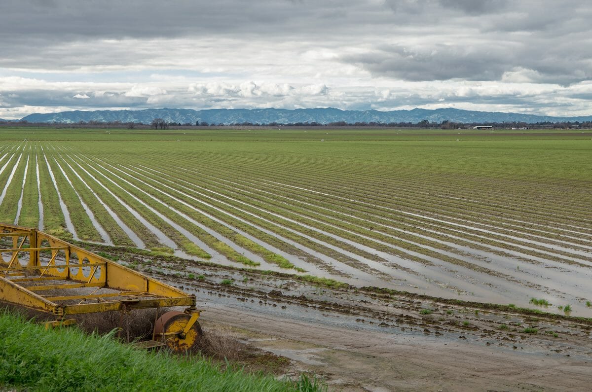 Natural Disaster Relief for California Farmers - Valley Ag Voice