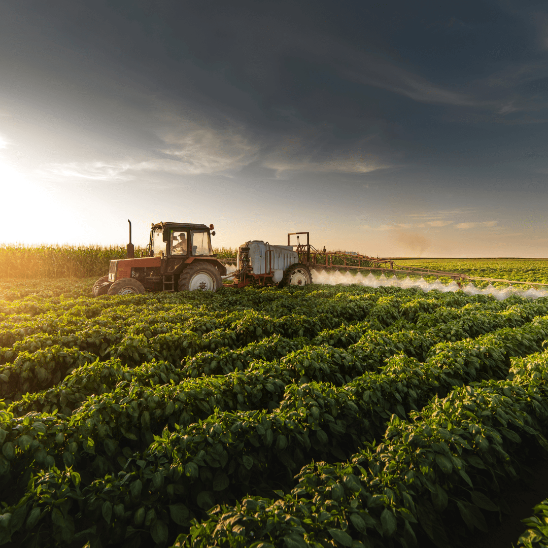 Central Valley's Agribusiness Sector Sees Dynamic Changes - Valley Ag Voice