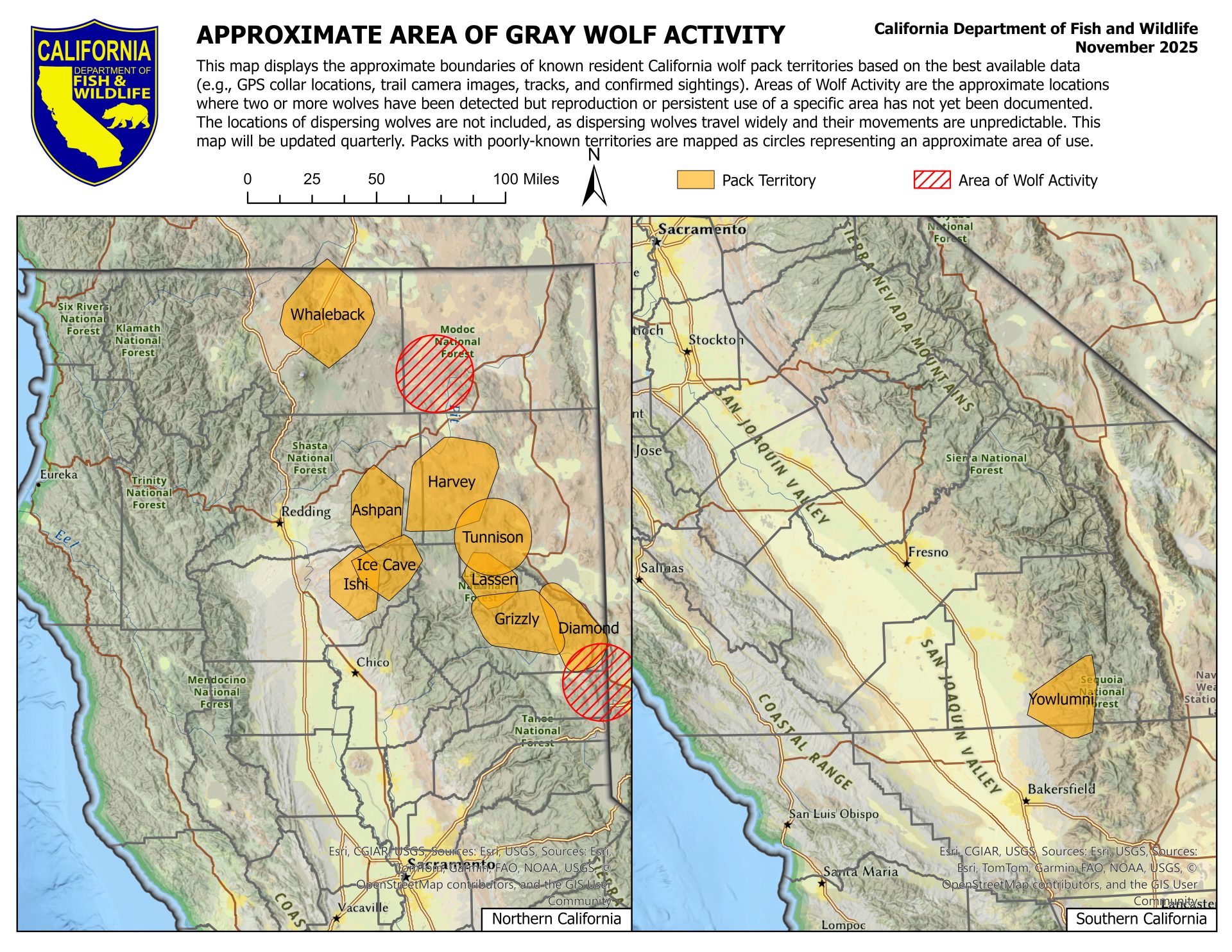 Wolf-Livestock Depredations Rise as State Intervenes in Sierra Valley ...